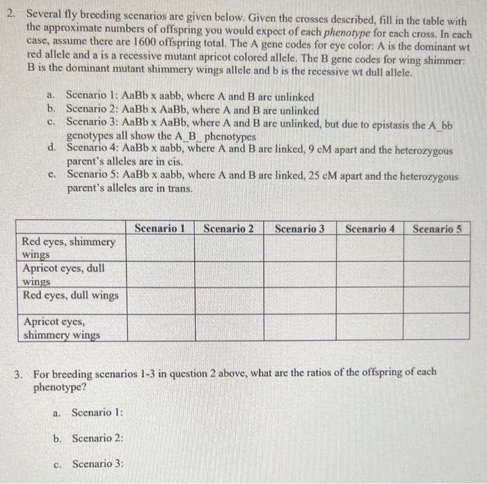 2. Several fly breeding scenarios are given below. | Chegg.com