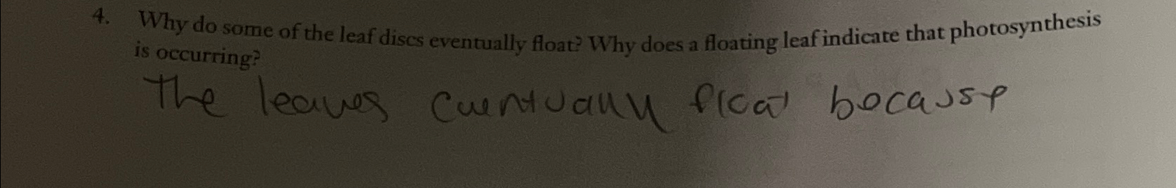 Solved Why do some of the leaf discs eventually float? Why | Chegg.com