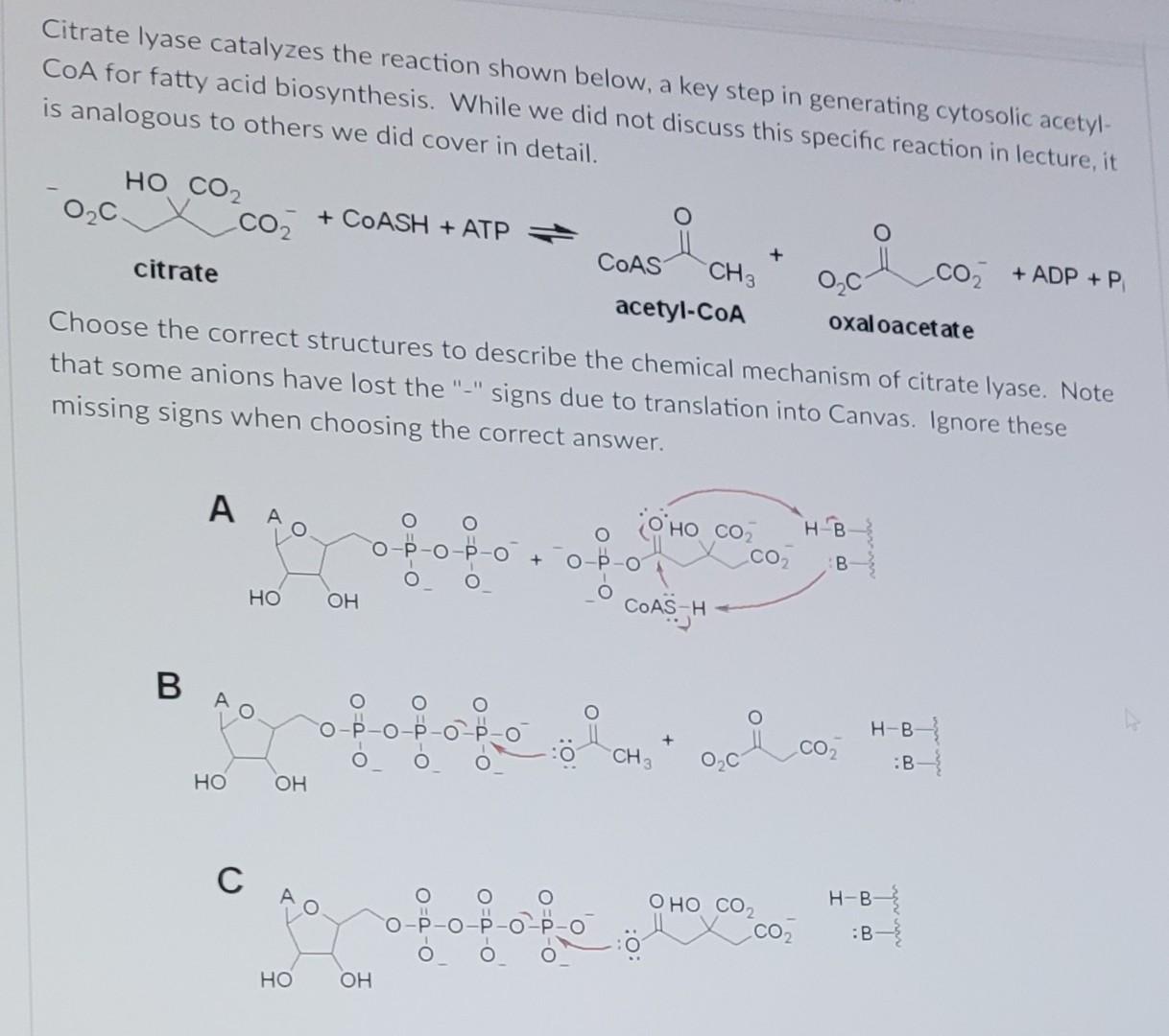Solved Citrate lyase catalyzes the reaction shown below, a | Chegg.com