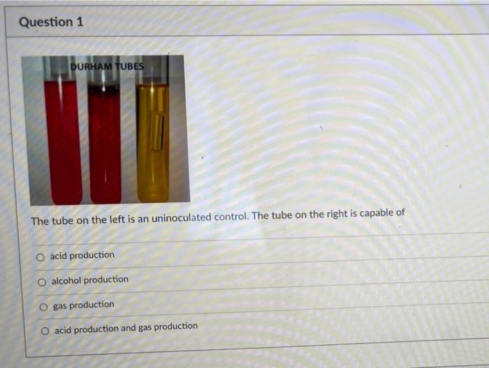 Solved Question 1 DURHAM TUBES The tube on the left is an | Chegg.com