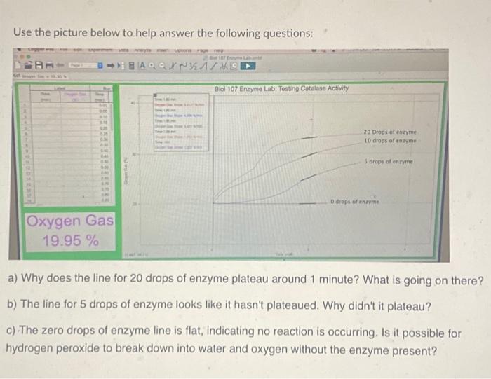Solved Use the picture below to help answer the following | Chegg.com
