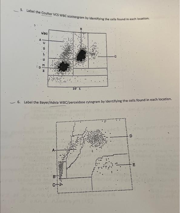 5. Label the Coulter VCS WBC scattergram by | Chegg.com