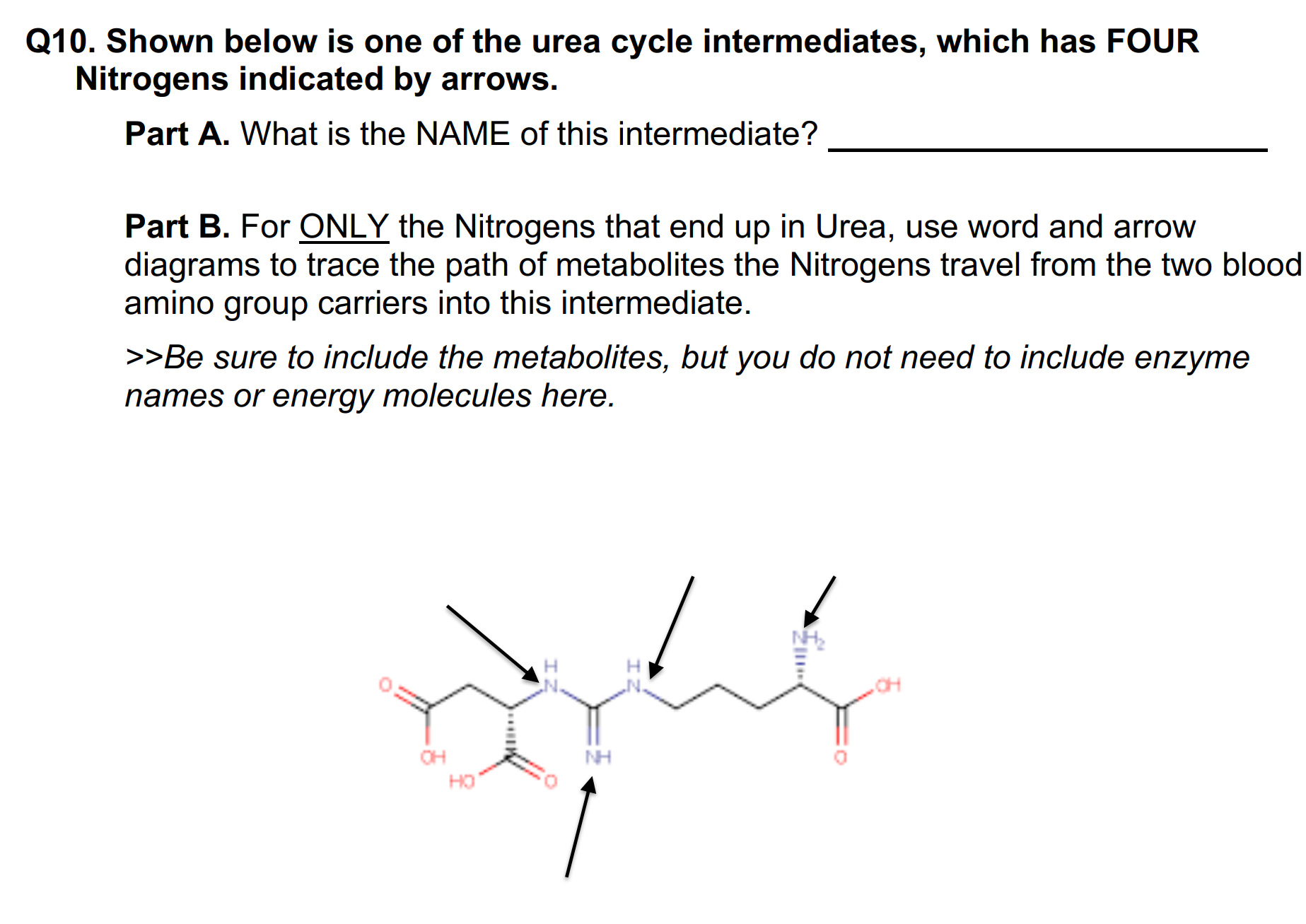 Solved Q10. ﻿Shown below is one of the urea cycle | Chegg.com