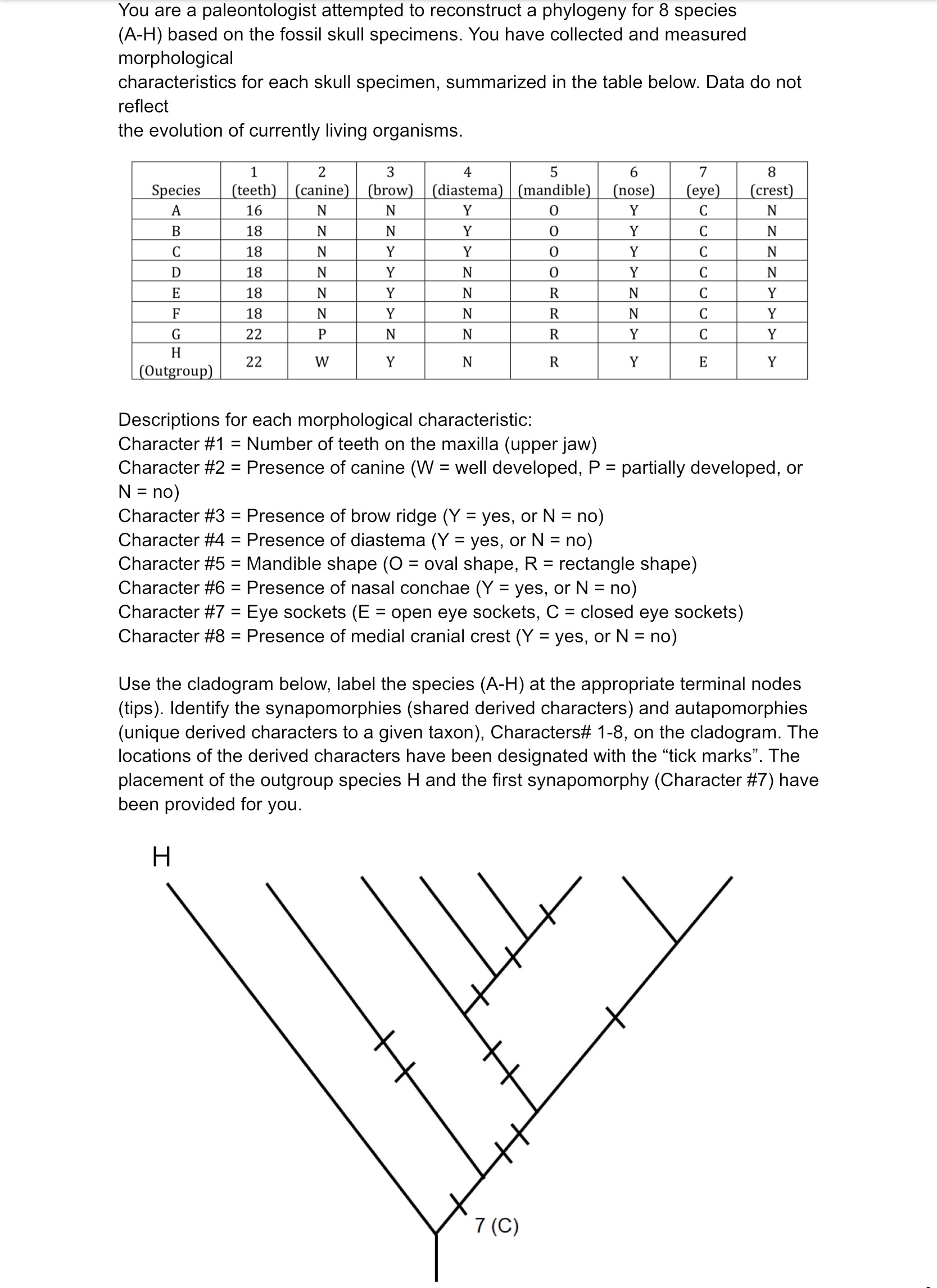 Solved You are a paleontologist attempted to reconstruct a | Chegg.com