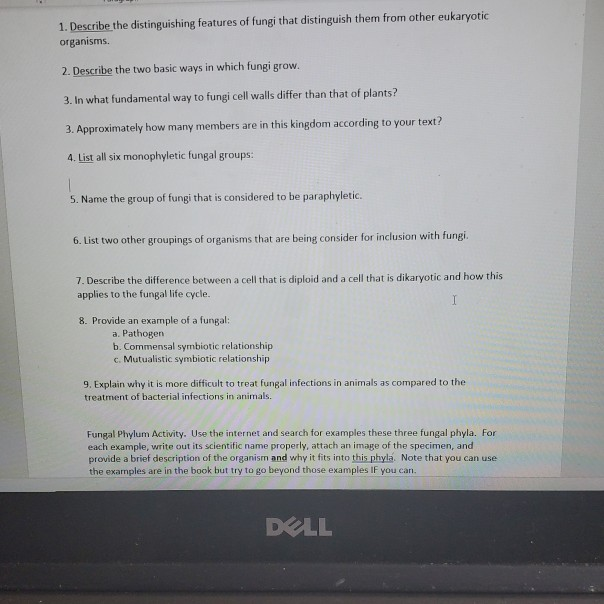 Solved 4. List all six supergroups: Supergroup Activity. Use | Chegg.com