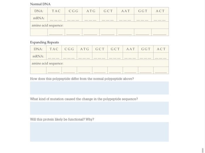 Solved Normal DNA DNA: | ТАС CGG ATG GCT AAT GGT ACT mRNA: | Chegg.com