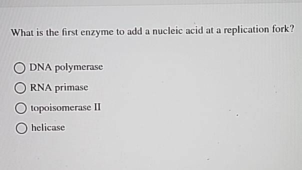 Solved What is the first enzyme to add a nucleic acid at a | Chegg.com