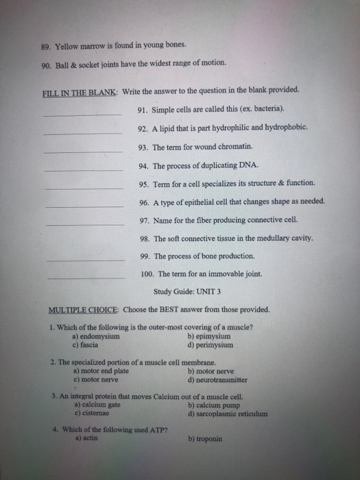 Solved 89. Yellow marrow is found in young bones. 90. Ball & | Chegg.com