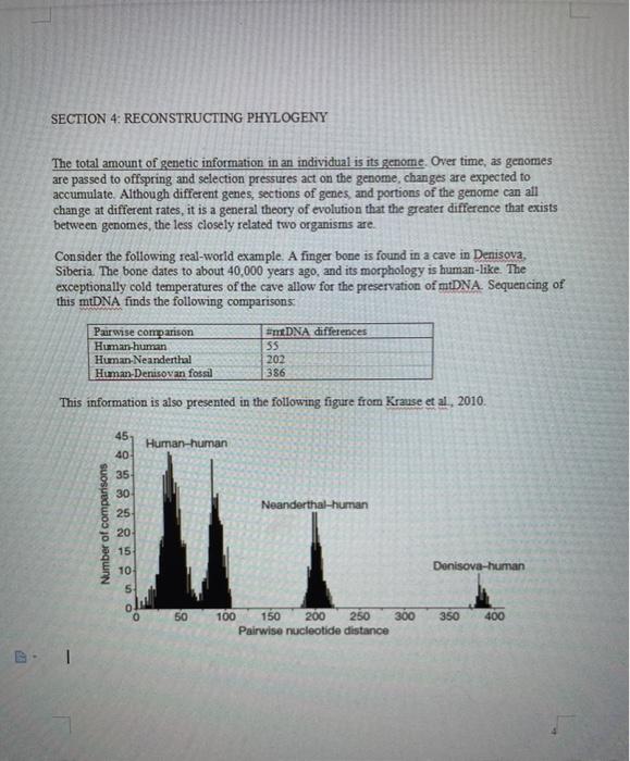 Solved SECTION 4: RECONSTRUCTING PHYLOGENY The total amount | Chegg.com
