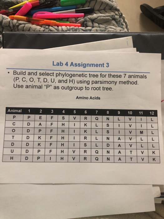 Solved Lab 4 Assignment 3 Build and select phylogenetic tree | Chegg.com