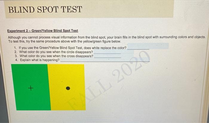 Solved BLIND SPOT TEST Experiment 2 - Green/Yellow Blind | Chegg.com