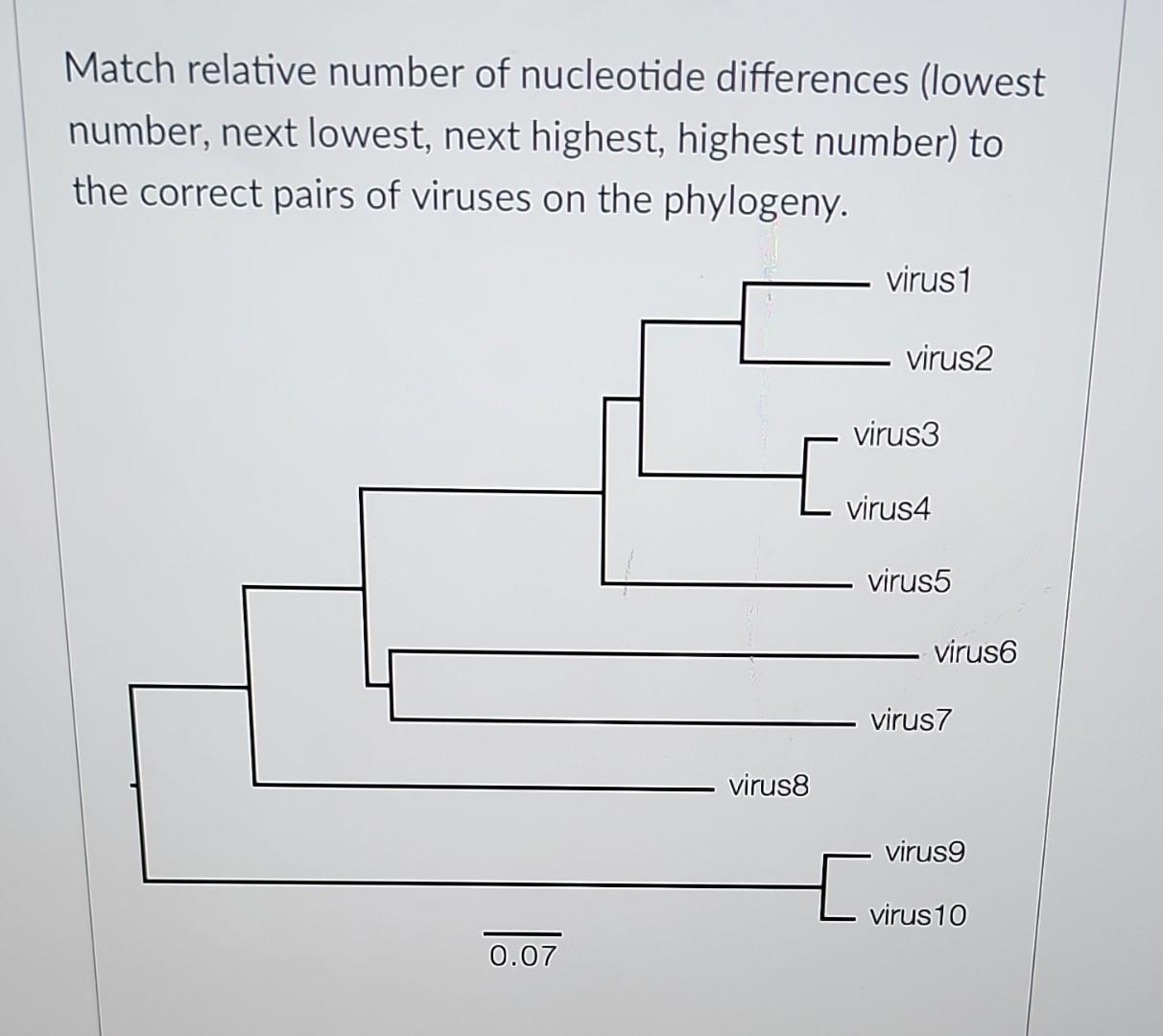 Match relative number of nucleotide differences | Chegg.com
