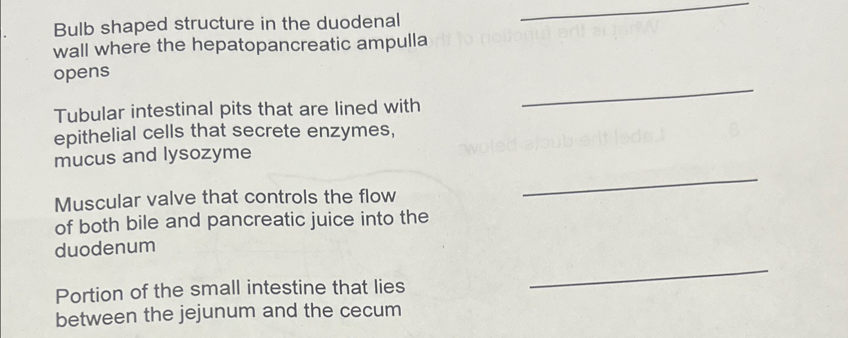 Solved Bulb shaped structure in the duodenal wall where the | Chegg.com