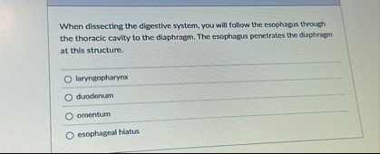 Solved When dissecting the digestive system, you will follow | Chegg.com