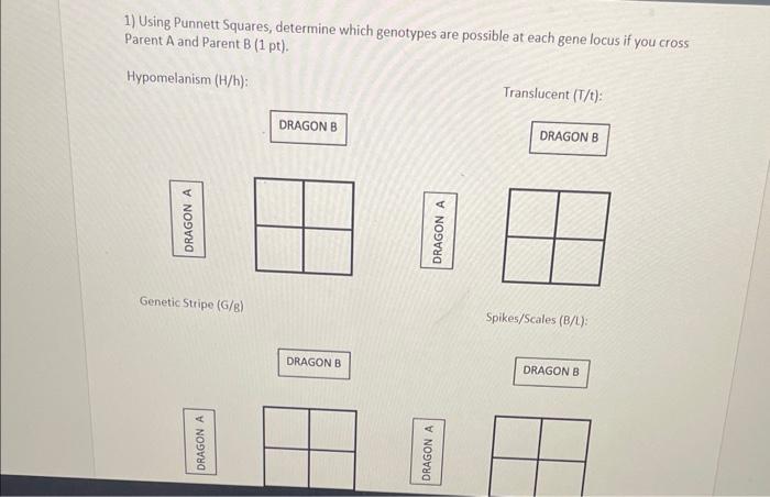 Solved You are a bearded dragon breeder and would like to | Chegg.com