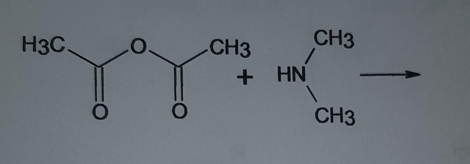 Solved H3C CH3 CH3 + HN O CH3 | Chegg.com