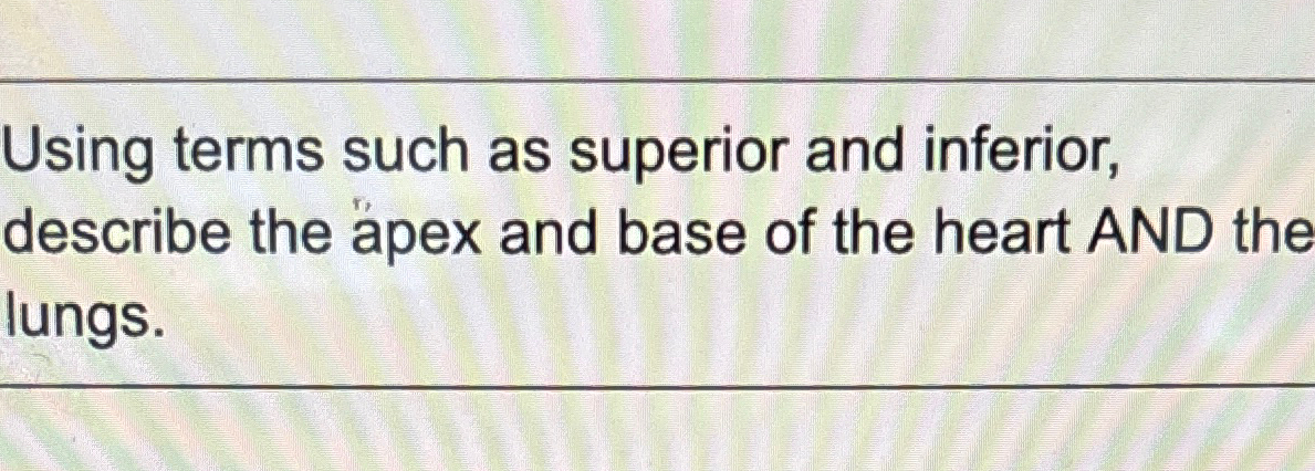 Solved Using terms such as superior and inferior, describe | Chegg.com
