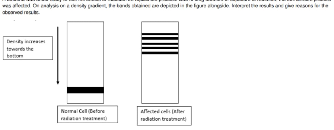 Solved was affected. On analysis on a density gradient, the | Chegg.com