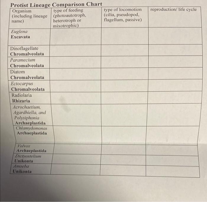 Solved Protist Lineage Comparison Chart | Chegg.com