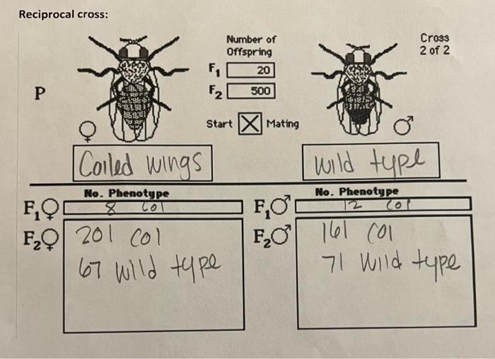 Solved REVIEW THE RECIPROCAL CROSS CHART, AND ANSWER | Chegg.com