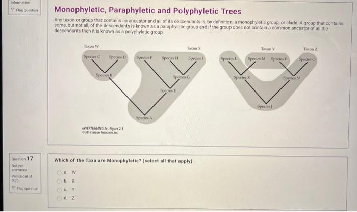 Solved Information Flag question Monophyletic, Paraphyletic | Chegg.com