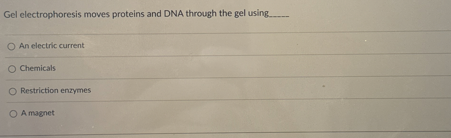 Solved Gel electrophoresis moves proteins and DNA through | Chegg.com