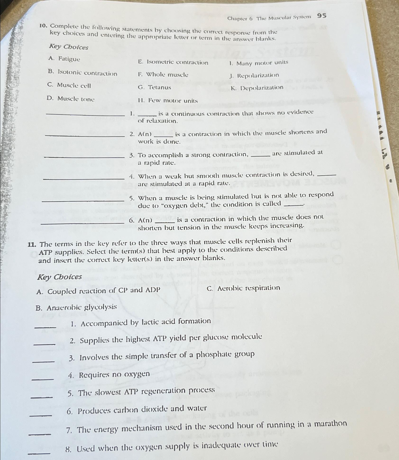 Solved Chapter 6 ﻿The Muscular System 9510. ﻿Complete the | Chegg.com