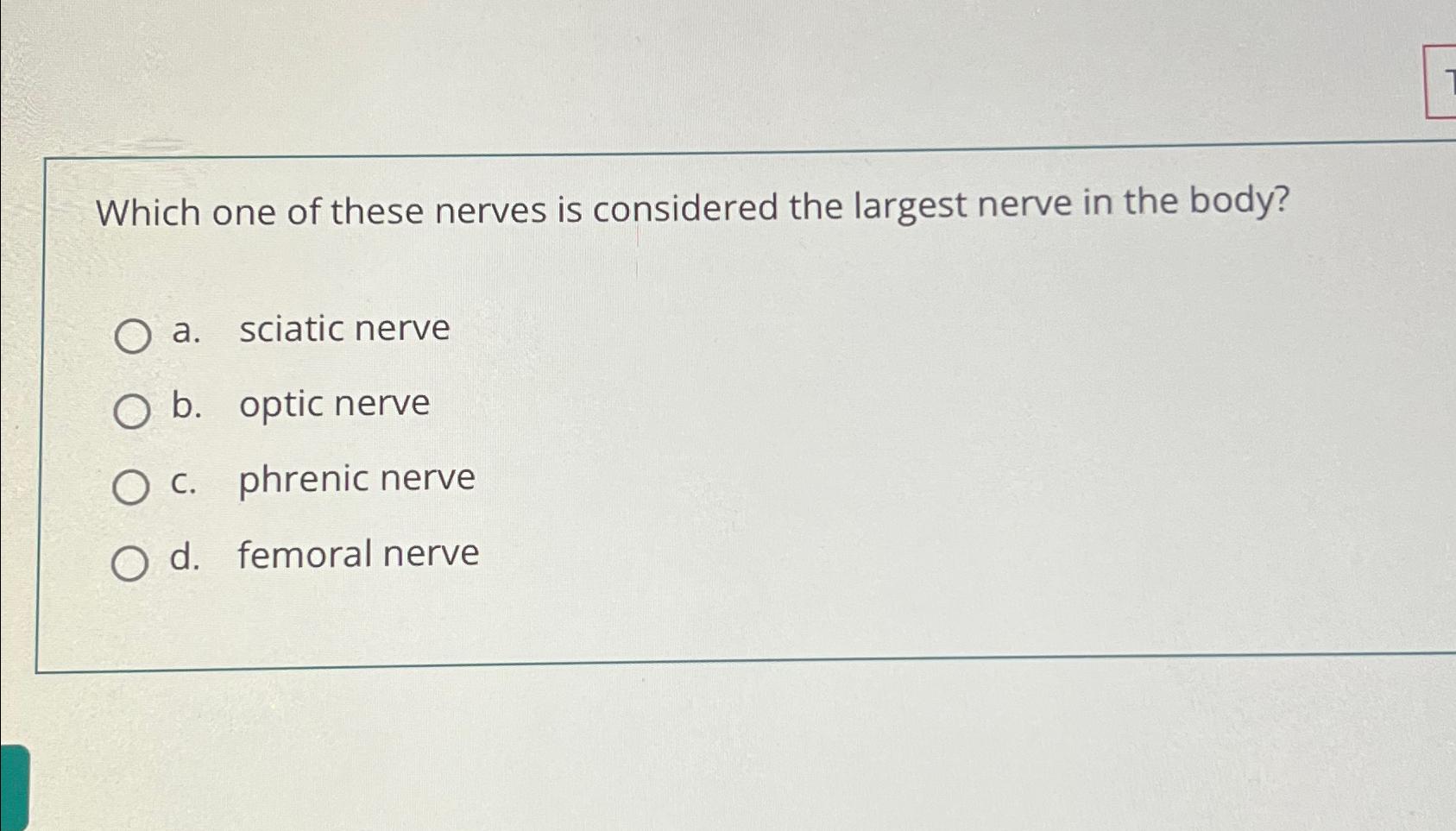 Solved Which One Of These Nerves Is Considered The Largest