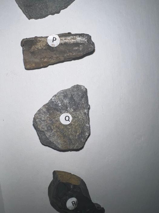 N1. A possible protolith for Sample M is: a. | Chegg.com