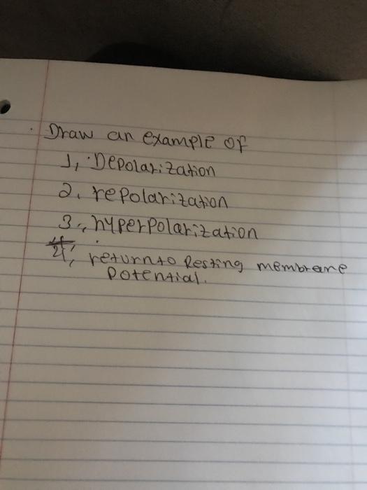 Solved Draw an example of J, Depolarization 2. | Chegg.com