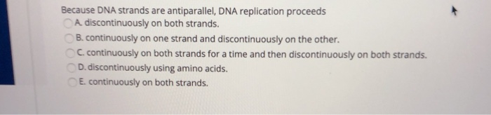 Solved Because DNA strands are antiparallel, DNA replication | Chegg.com