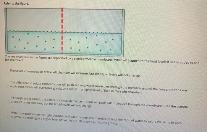 Solved Refer to the figure. The two chambers in the figure | Chegg.com