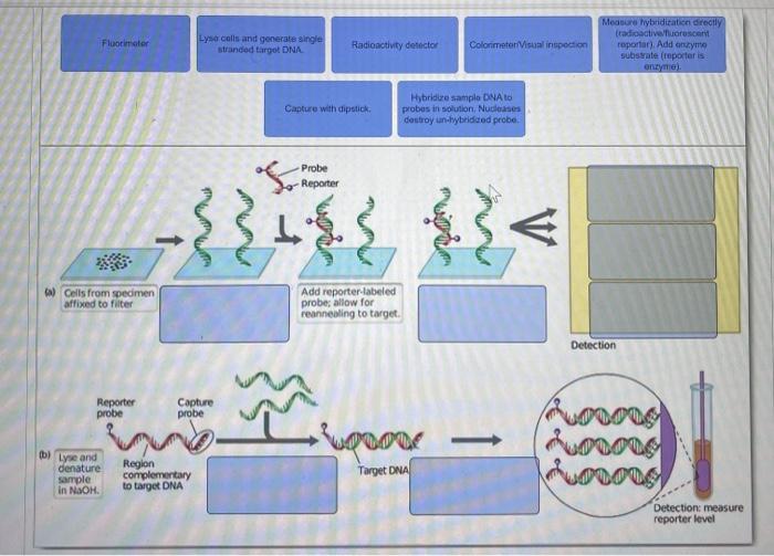 Solved The the different steps involved in performing | Chegg.com