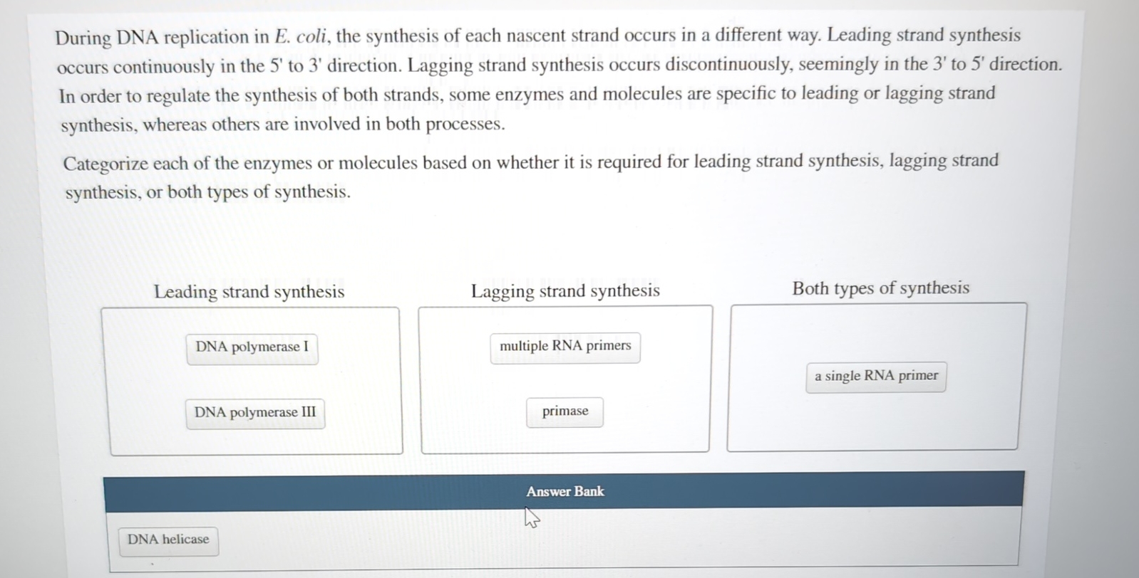 Solved During DNA replication in E. ﻿coli, the synthesis of | Chegg.com