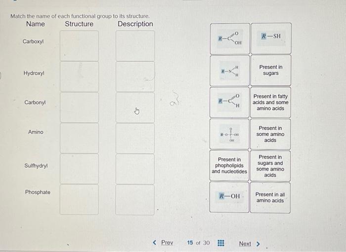 Solved Match the name of each functional group to its | Chegg.com