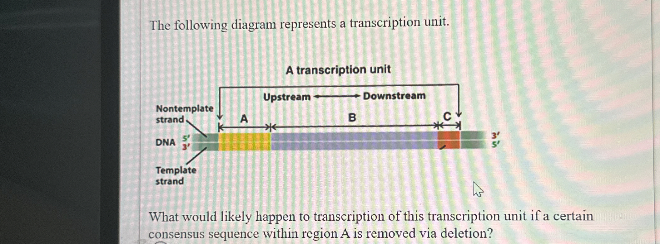 Solved The following diagram represents a transcription | Chegg.com