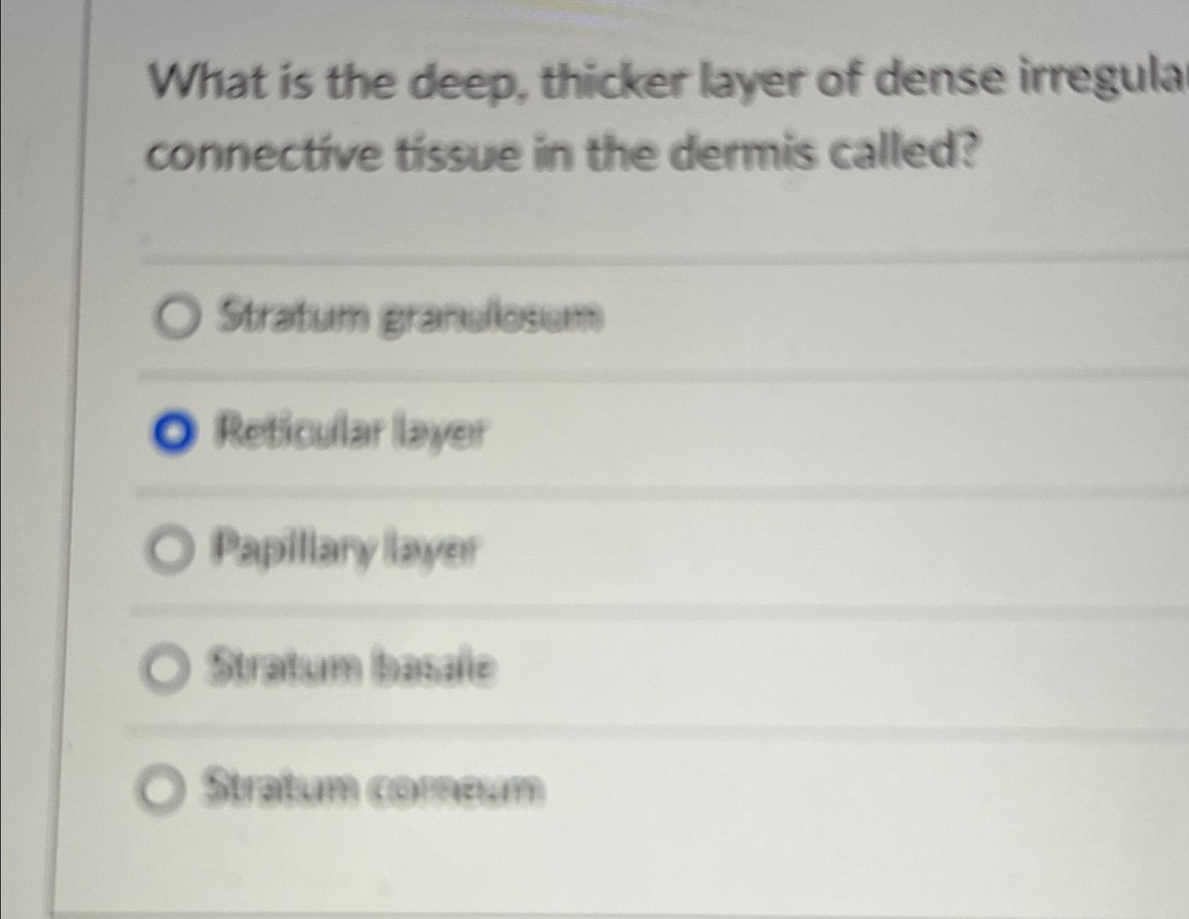 Solved What is the deep, thicker layer of dense irregula | Chegg.com