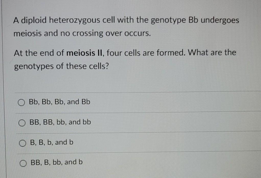 Solved A diploid heterozygous cell with the genotype Bb | Chegg.com