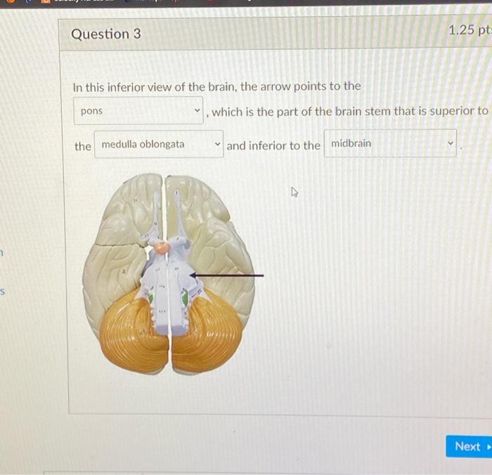 Solved There are four questions please check and see if the | Chegg.com