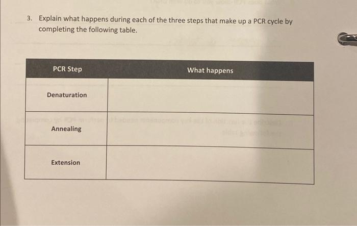 Solved 3. Explain what happens during each of the three | Chegg.com