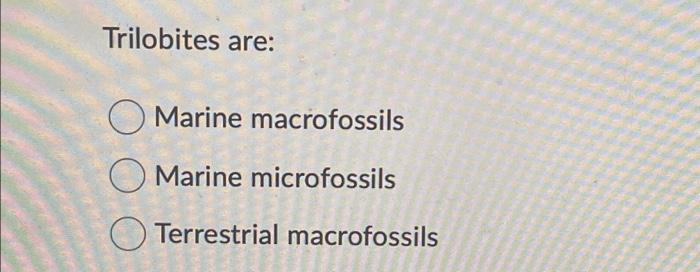 Solved Trilobites are: Marine macrofossils Marine | Chegg.com