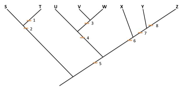 Solved In the tree above, the numbers represent derived | Chegg.com