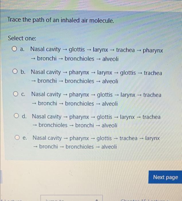 Solved Trace the path of an inhaled air molecule. Select | Chegg.com