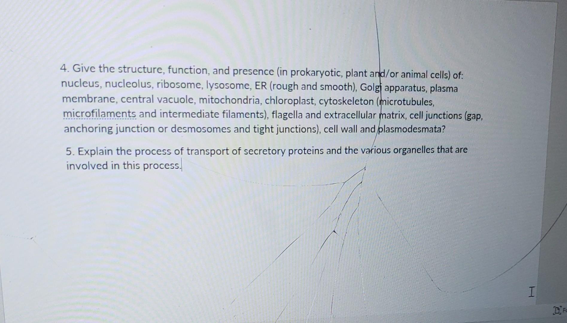 Solved 4. Give the structure, function, and presence (in | Chegg.com