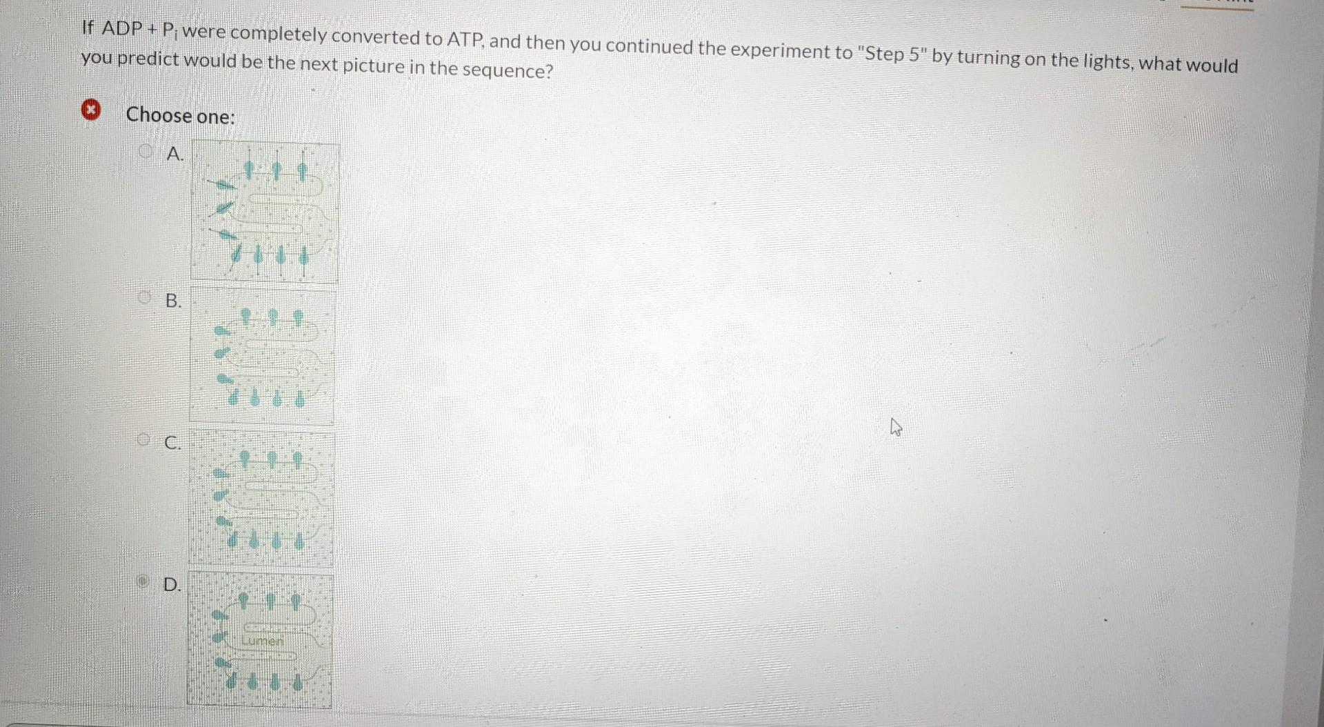 Solved In 1966, André Jagendorf and Ernest Uribe directly | Chegg.com