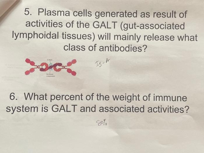 Solved 1. Helper T cells recognize antigen presented by | Chegg.com
