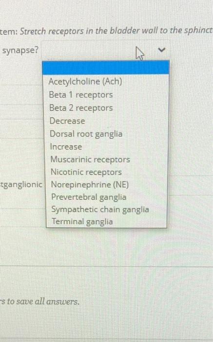 Solved Using the same pathway for the Parasympathetic | Chegg.com