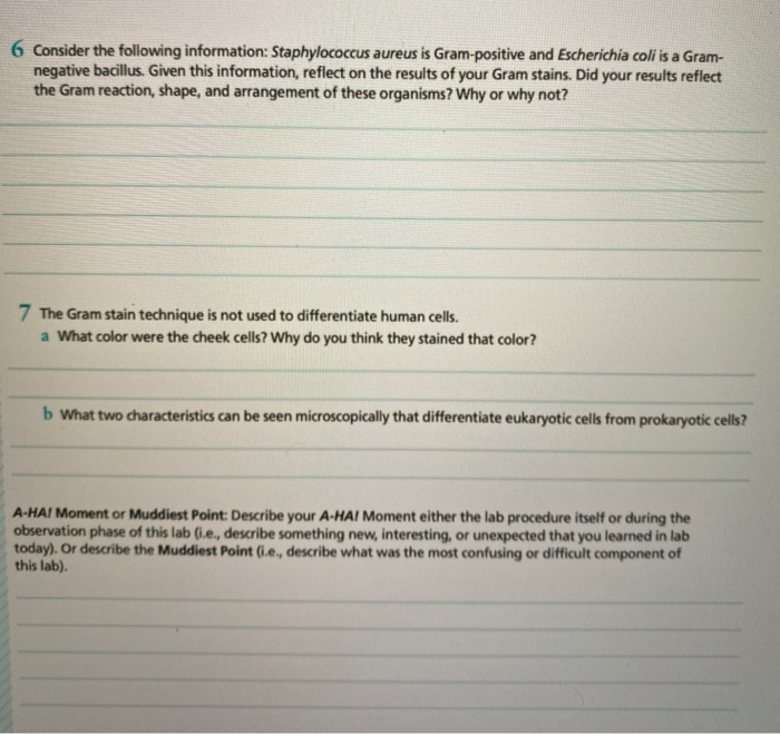 Solved 6 Consider the following information: Staphylococcus | Chegg.com