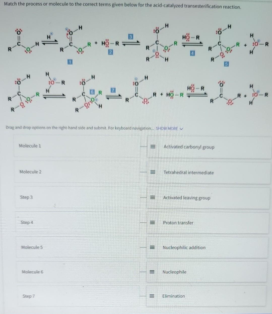 Solved Match the process or molecule to the correct terms | Chegg.com