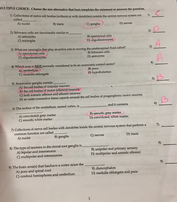Solved MULTIPLE CHOICE. Choose the one alternative that best | Chegg.com